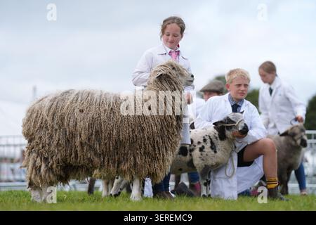 Lacey Holden, 10, from Spilsby with her Lincoln Longhorn sheep as they ...