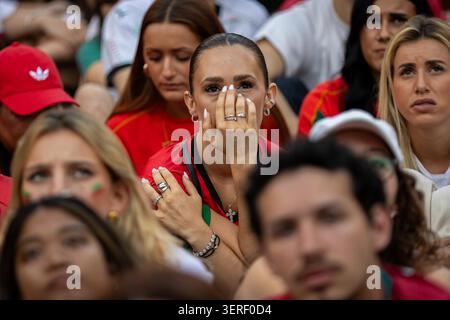 Porto, Portugal. 17th June, 2026. A supporter with face paint reacts ...