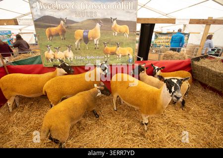 Edinburgh. Scotland, UK. 19th June, 2026. The Royal Highland Show is an ...