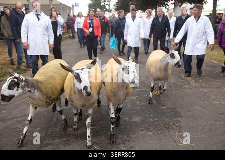 Edinburgh. Scotland, UK. 19th June, 2026. The Royal Highland Show is an ...