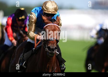 Opportunity ridden by James McDonald on their way to winning the Duke ...