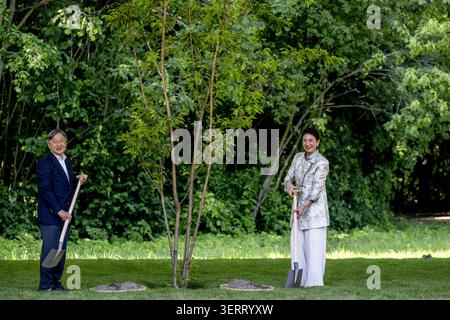 AMSTELVEEN - Emperor Naruhito and his wife Empress Masako plant a tree ...