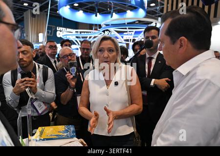 MP President of the National Rassemblement group at the French National ...