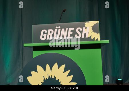 20 June 2026, Schleswig-Holstein, Neumünster: "Grüne SH" is written on ...