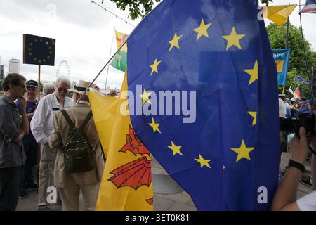 People during a National Rejoin March in London, marking 10 years since ...