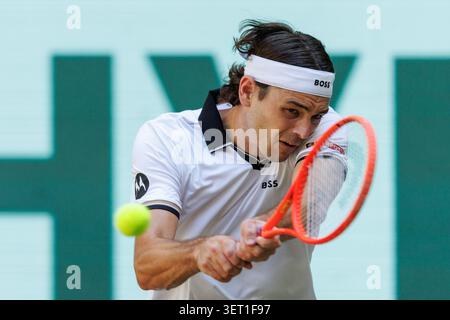20 June 2026, North Rhine-Westphalia, Halle (Westfalen): Tennis: ATP ...