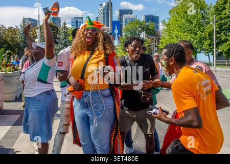 Ivory Coast FANS CELEBRATE GOAL 0-1 during the Germany v Côte d'Ivoire ...