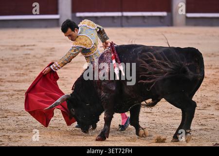 Bullfighter Cristian Perez during the bullfight with bulls from the ...