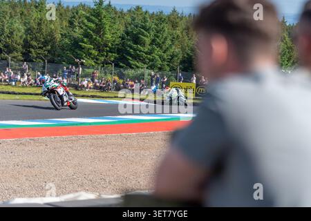 30 COOK Max (gbr), AJN Steelstock Bimota, action during Round 3 of The ...