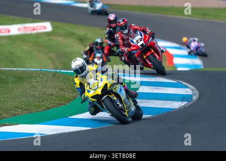Ducati during Round 3 of The ZYN British Superbike Championship at ...