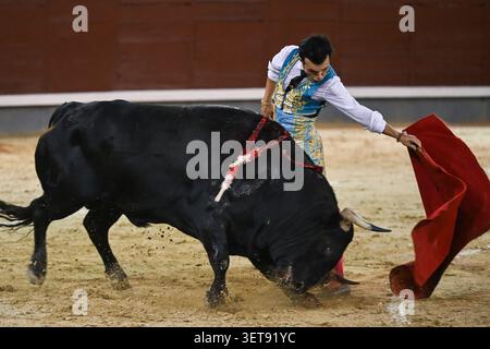 Bullfighter Cristian Perez seen during the bullfight with bulls from ...