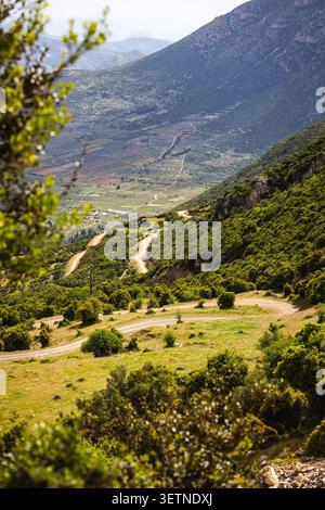 ambiance during the 2026 Acropolis Rally Greece, 8th round of the 2026 ...