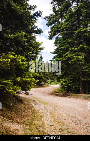 ambiance during the 2026 Acropolis Rally Greece, 8th round of the 2026 ...