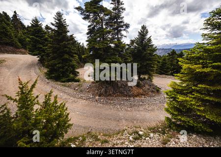 ambiance during the 2026 Acropolis Rally Greece, 8th round of the 2026 ...