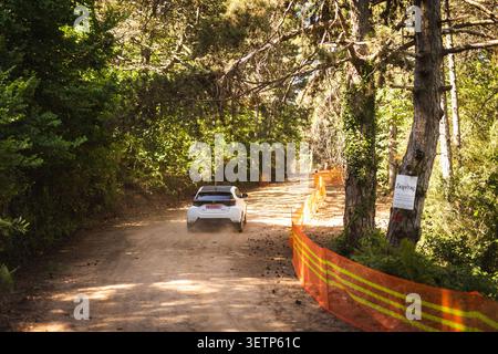 ambiance during the 2026 Acropolis Rally Greece, 8th round of the 2026 ...