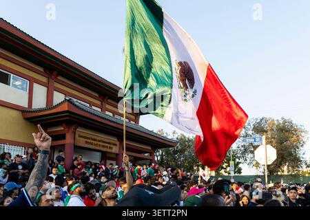 Fans waves Mexico flag during the Mexico vs. South Korea World Cup game ...