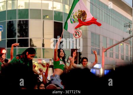 Fans waves Mexico flag during the Mexico vs. South Korea World Cup game ...