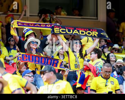 June 20, 2026: Ecuador fans wave banners in the air prior to the World ...