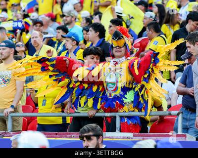 June 20, 2026: A passionate Ecuador fan wears a costume in the stands ...