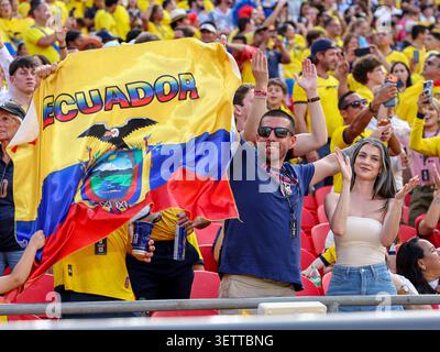 June 20, 2026: Ecuador fans cheer during the World Cup match between ...