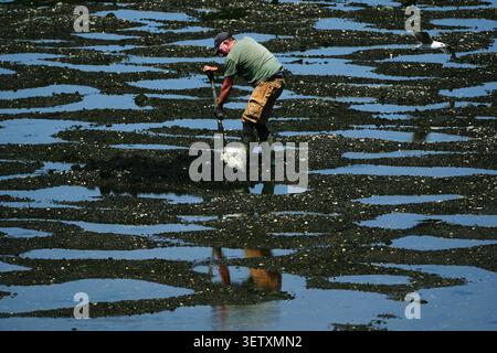 A person digs for bait in Dublin Bay during the good weather. A "heat ...