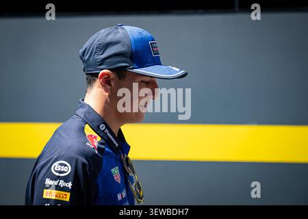 Red Bull Formel 1