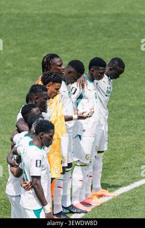 Senegal players line up during the pregame ceremony before the World ...