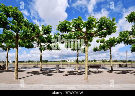 Düsseldorf, Germany - June 9th 2026: Riverside promenade ...