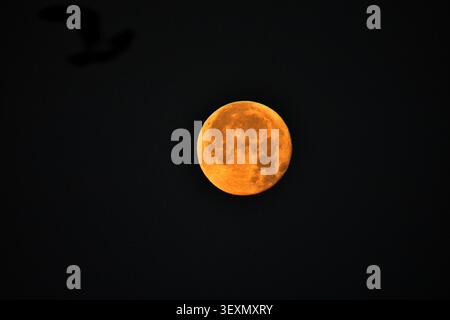 Strawberry full moon in Marseille, France. (Photo by Gerard Bottino ...