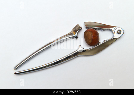 Hard nut to crack Stock Photo: 101056527 - Alamy