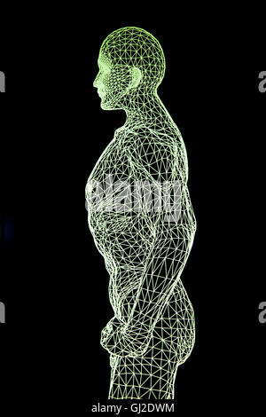 Computer generated image of the human body Stock Photo: 114380795 - Alamy
