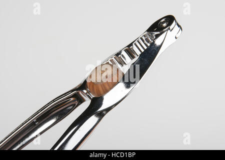 Hard nut to crack Stock Photo: 101056527 - Alamy
