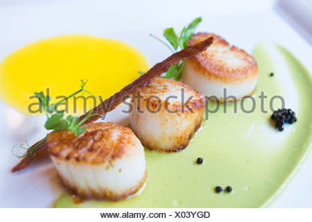 Scallops in a fine dining restaurant Stock Photo: 51780067 - Alamy