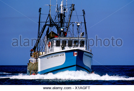 Scallop fishing boats docked at Digby, Nova Scotia, Canada Stock Photo ...