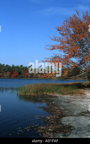 Bellows Pond in Sears-Bellows County Park, Long Island New York State ...