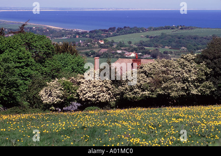 View of Hastings Country Park, and Fairlight cliffs Stock Photo - Alamy