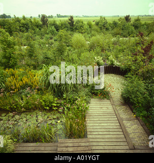 Aerial view of paved country garden with shed and pond and circular ...
