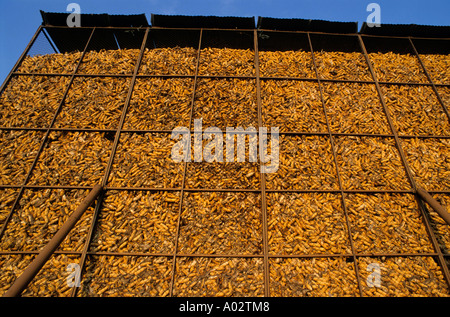 France Isere Cages Of Drying Corn At The End Of A Harvested Field Stock ...