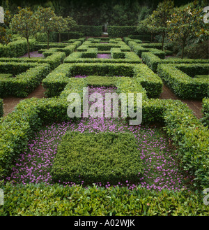 A formal, country garden, low clipped hedging enclosing flowers, paved ...