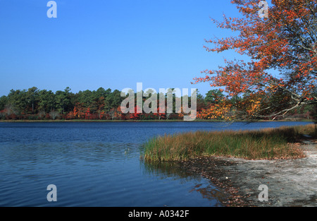 Bellows Pond in Sears-Bellows County Park, Long Island New York State ...