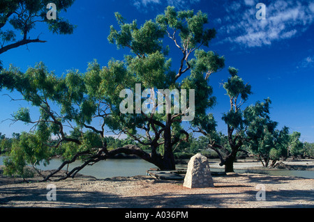 The Dig Tree, Burke and Wills expedition, Coopers Creek near Innamincka ...