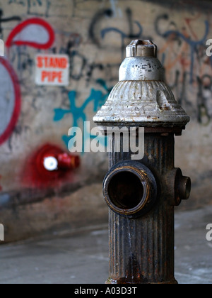 An old brick wall with dry spray paint on it and green leaves in front ...