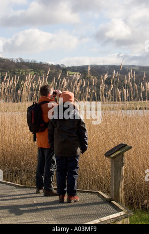 Bird watchers at RSPB reserve in North Wales GB UK Stock Photo - Alamy