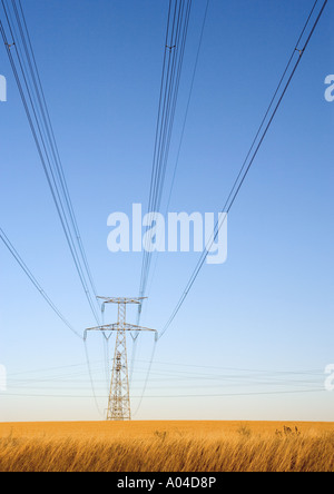 Electric pylon, low angle view Stock Photo - Alamy