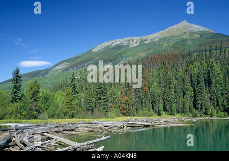 Ghost Lake Cariboo Mountains Provincial Park British Columbia Stock ...