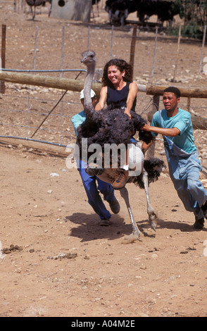 Woman Riding an Ostrich Stock Photo - Alamy