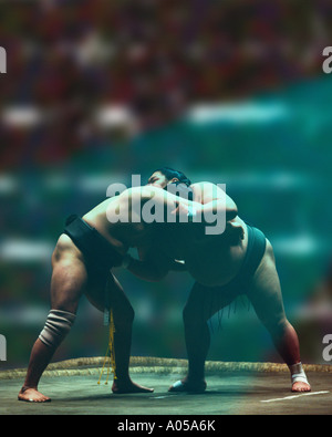 Sumo wrestling, Japan Stock Photo - Alamy