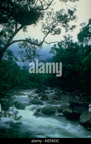 River rushing through tropical rainforest, Mazaruni, Guyana, South ...
