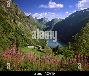View of the Flydal Gorge, Geiranger, with a cruise ship on the ...