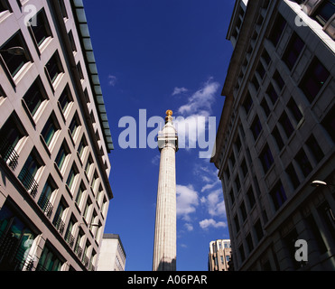 Monument to the Great Fire of London views in UK Stock Photo - Alamy